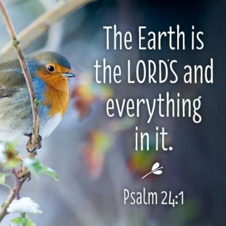 Praying Psalm 24 | Upward Ever...