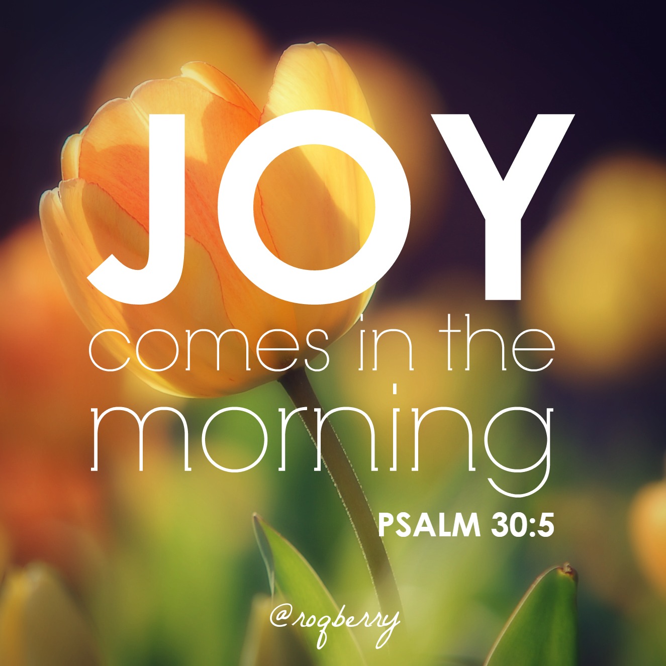 Praying Psalm 30 | Upward Ever...
