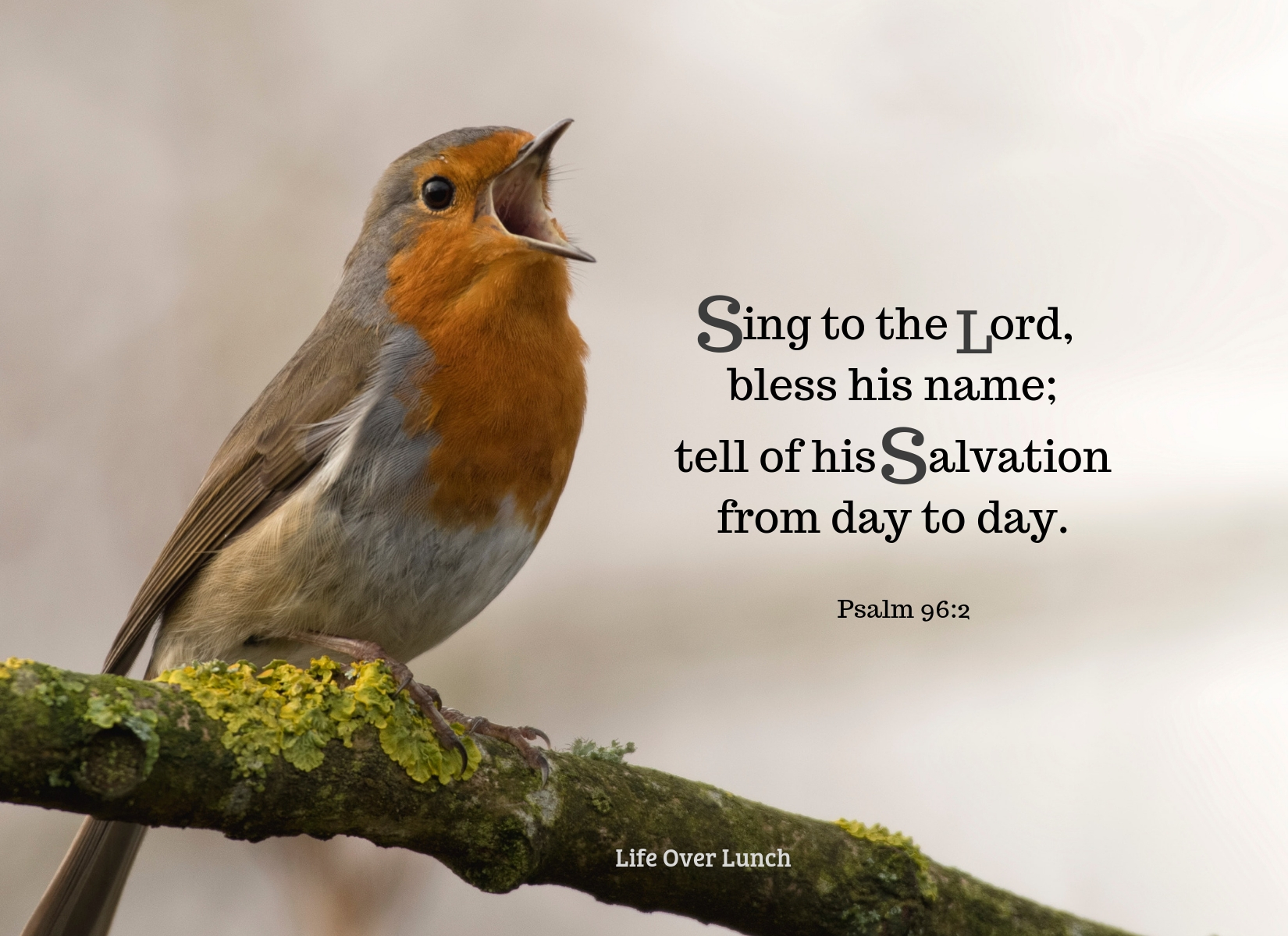 Psalm 96| A Song of Praise to God Coming in Judgment | Upward Ever...
